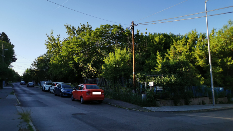 Másfél méteres gaz Rahó - Bali Sándor - Járókelő.hu. Ha megosztod ...